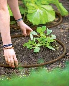Soaker Hose: What Is a Soaker Hose and How Does It Work?