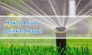 How to Adjust Sprinkler Heads?